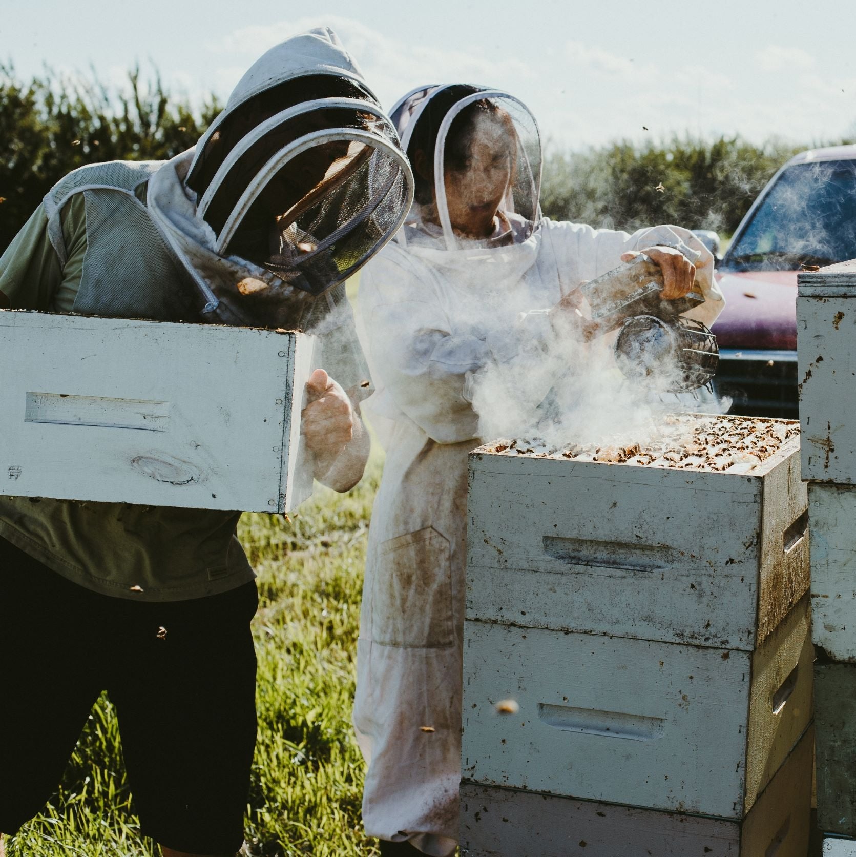 Three Foragers Honey and Hive Goods